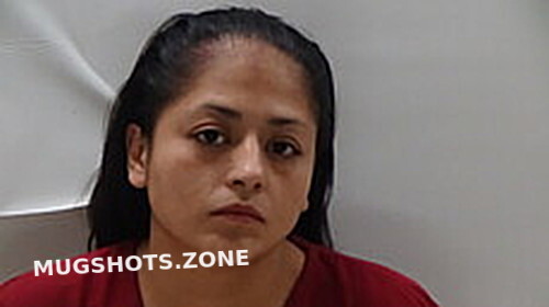 ALANIZ SYLVIA GARCIA 11/28/2022 - Cameron County Mugshots Zone