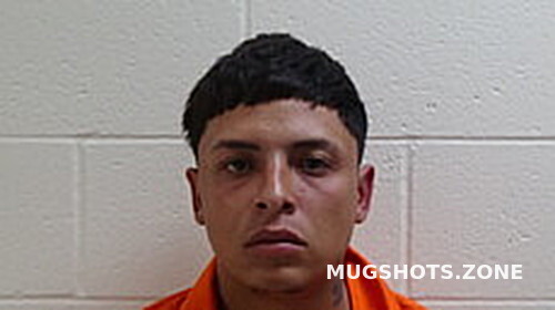 HERNANDEZ CASTANEDA DAVID 03/09/2023 - Cameron County Mugshots Zone