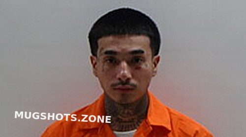 RANGEL ALBERT FELIX 11/01/2023 - Cameron County Mugshots Zone