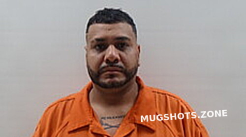 AVILES GILBERT ALEXANDER 01/09/2024 - Cameron County Mugshots Zone