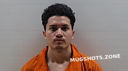 MARTINEZ ROBERTO NONE 01/30/2024 - Cameron County Mugshots Zone