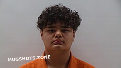 GORDON ISRAEL NATHANIEL LEE 02/12/2024 - Cameron County Mugshots Zone