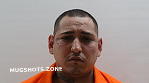 CARRANZA ISMAEL 02/19/2024 - Cameron County Mugshots Zone