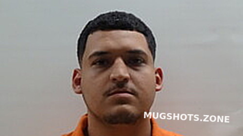 TOVAR MARLO ARIEL 03/03/2024 - Cameron County Mugshots Zone