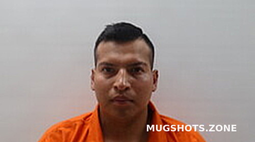 CASTILLO DANIEL DEL ROSARIO 05/14/2024 - Cameron County Mugshots Zone