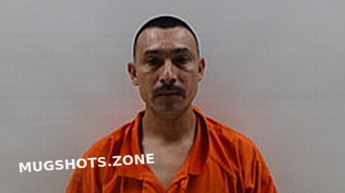 DOMINGUEZ JUAN RAMON 06/05/2024 - Cameron County Mugshots Zone