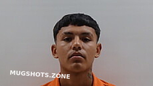 TORRES JESUS GAEL 06/06/2024 - Cameron County Mugshots Zone