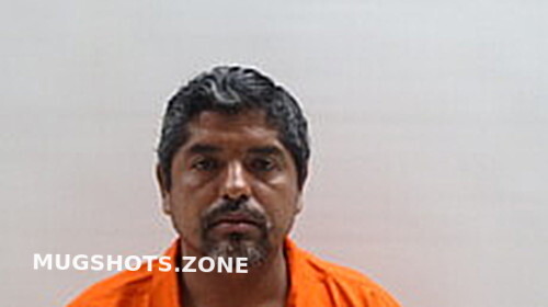 TORRES CASTRO JULIO CESAR 07/04/2024 - Cameron County Mugshots Zone
