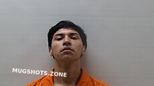 RENDON SERGIO DANIEL 07/13/2024 - Cameron County Mugshots Zone