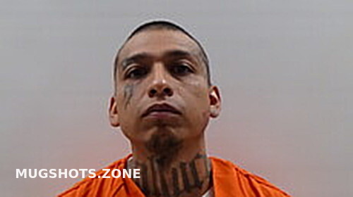 ALEJO MARCOS ANTHONY 07/19/2024 - Cameron County Mugshots Zone