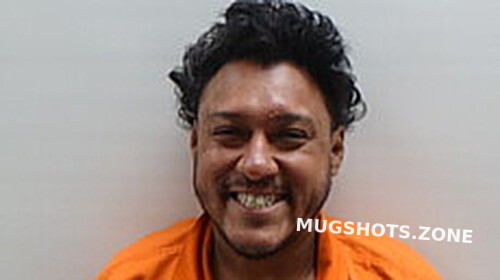 CASTILLEJA MICHAEL 07/25/2024 - Cameron County Mugshots Zone