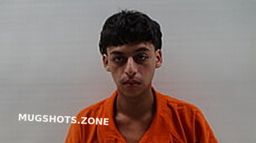 AVILA SERVANDO 08/01/2024 - Cameron County Mugshots Zone