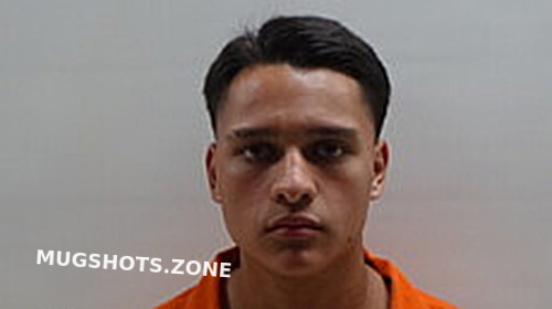 MENDEZ ALEJANDRO 08/04/2024 - Cameron County Mugshots Zone
