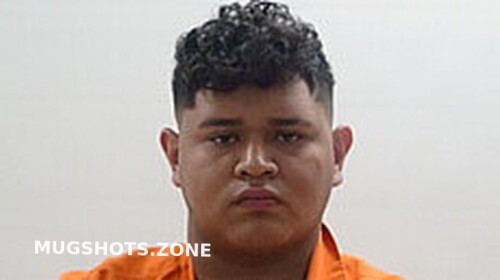 ROLDAN JEZIAS EMMANUEL 08/07/2024 - Cameron County Mugshots Zone