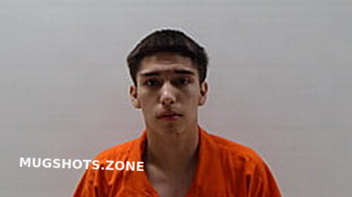 LAGUNA ANGEL ROMAN 08/09/2024 - Cameron County Mugshots Zone