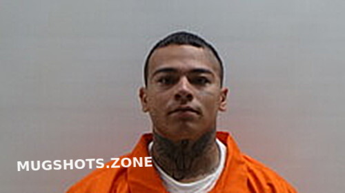 MORENO CARTER ALEX 08/10/2024 - Cameron County Mugshots Zone