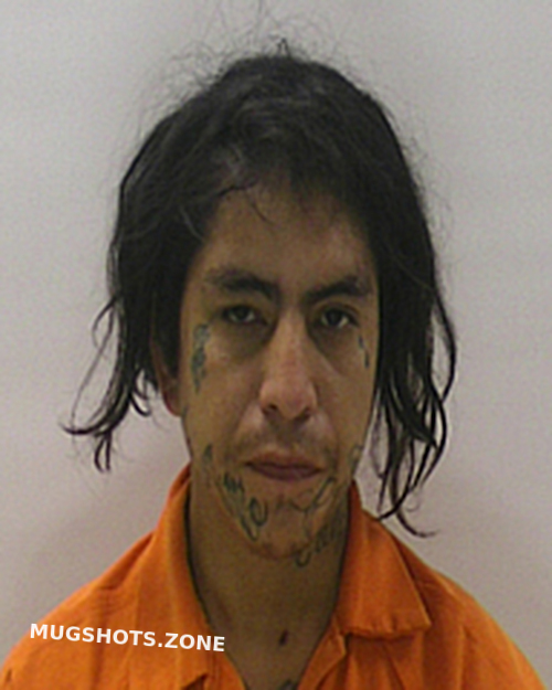 COLUNGA JOSE MANUEL 08/14/2024 - Cameron County Mugshots Zone