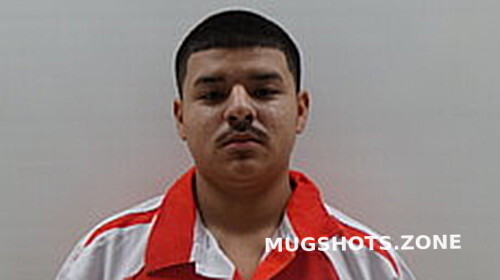 SOLIS ESTEBAN ELIJAH 08/26/2024 - Cameron County Mugshots Zone