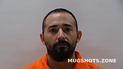 RIOS HOMER LEE 08/28/2024 - Cameron County Mugshots Zone
