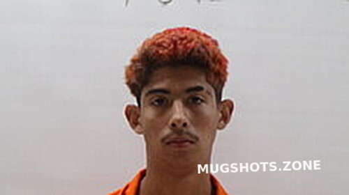 SAUCEDA ANIZE RAYMOND 10/01/2024 - Cameron County Mugshots Zone