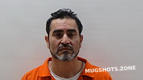 VEGA CHRISTOPHER CASTILLO 10/30/2024 - Cameron County Mugshots Zone