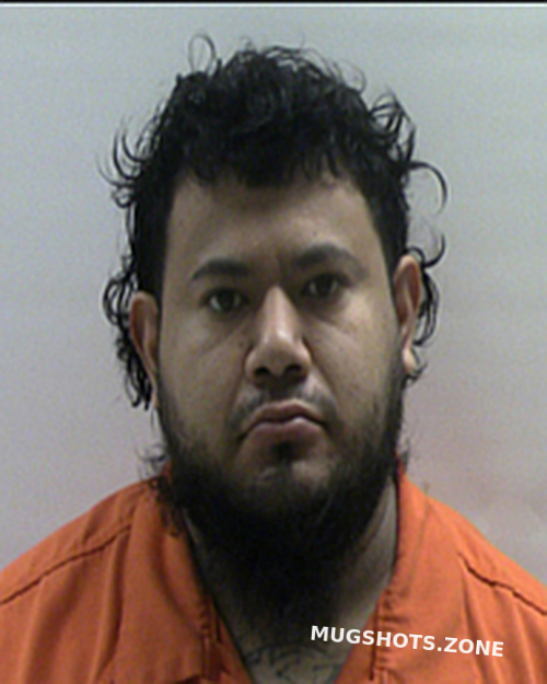 RAMIREZ ROBERTO 11/04/2024 - Cameron County Mugshots Zone