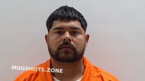 TORRES JUAN ALBERTO 11/14/2024 - Cameron County Mugshots Zone