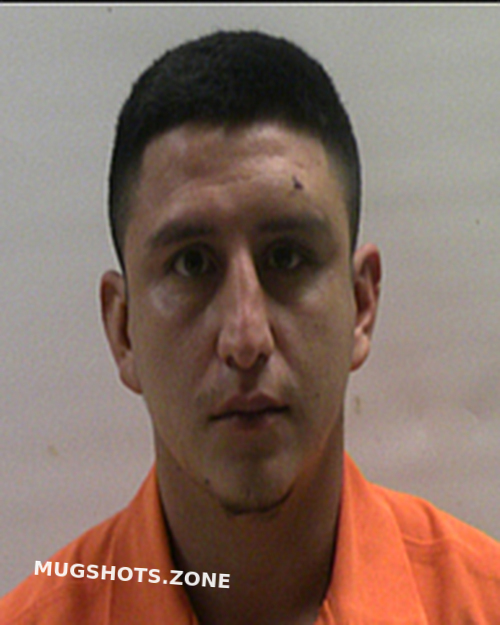 HERBERT CESAR JULIO 11/23/2024 - Cameron County Mugshots Zone