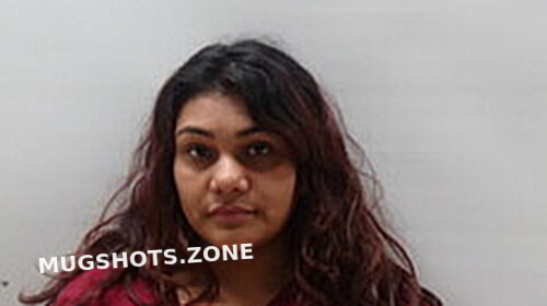 VALLES MARITZA LEE 11/26/2024 - Cameron County Mugshots Zone