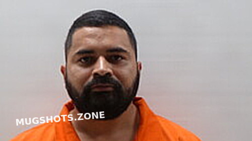 RAYGOZA PEDRO LUIS 11/30/2024 - Cameron County Mugshots Zone