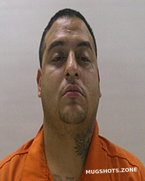 ALGARIN MICHAEL CASTILLO 12/17/2024 - Cameron County Mugshots Zone