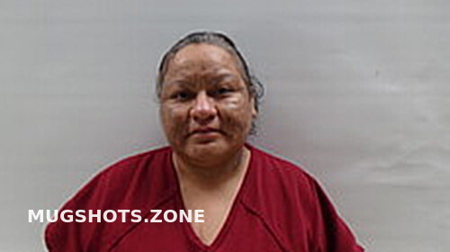 VIDAL ROCHA JENNIFER 01/01/2025 - Cameron County Mugshots Zone