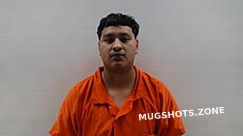 MORENO BRAYAN FELIPE 01/01/2025 - Cameron County Mugshots Zone