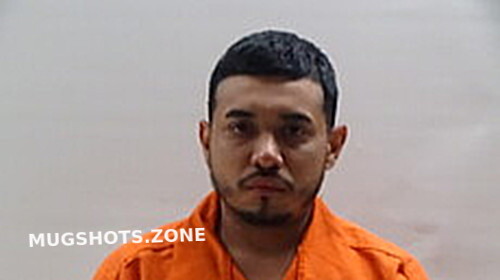 VILLARREAL FERNANDO 01/06/2025 - Cameron County Mugshots Zone
