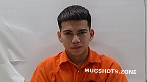 MANRIQUEZ JESUS EDUARDO 01/16/2025 - Cameron County Mugshots Zone