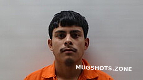GERVACIO FERNANDO 01/25/2025 - Cameron County Mugshots Zone