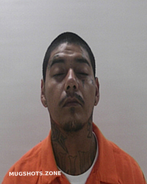 MOLINA MICHAEL 01/26/2025 - Cameron County Mugshots Zone
