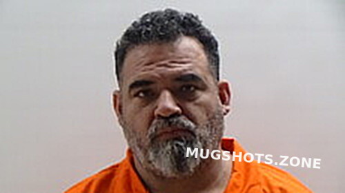 REYES RENE 01/29/2025 - Cameron County Mugshots Zone