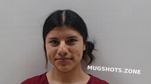 TREJO ASHLEY ROXANNE 01/31/2025 - Cameron County Mugshots Zone