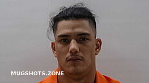 RICO GAMBOA ELIO ADRIAN 02/17/2025 - Cameron County Mugshots Zone