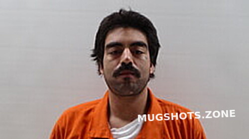 SANCHEZ SHAWN ANTHONY 02/24/2025 - Cameron County Mugshots Zone