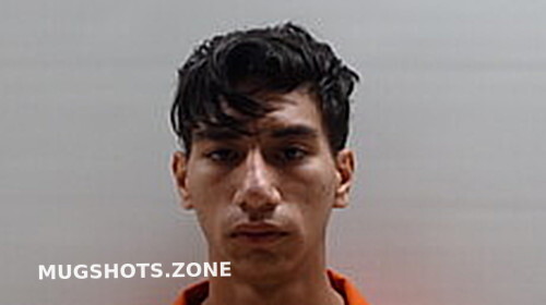 VELA TERRANCE ANTHONY 02/28/2025 - Cameron County Mugshots Zone