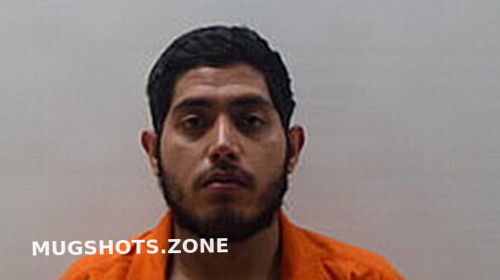 ORTIZ ENRIQUE ESCANDON 03/01/2025 - Cameron County Mugshots Zone