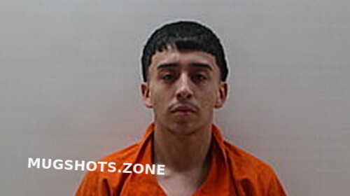 REVOLORIO RODRIGUEZ JAMIE JAVIER 03/01/2025 - Cameron County Mugshots Zone
