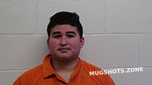 PALOMARES JOSE ANGEL 03/09/2025 - Cameron County Mugshots Zone