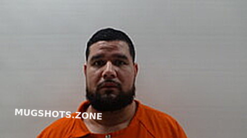 RETA LUIS 03/10/2025 - Cameron County Mugshots Zone