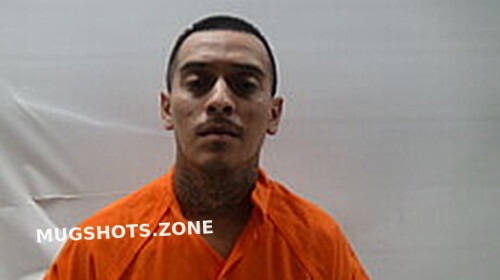 ROA MICHAEL 03/11/2025 - Cameron County Mugshots Zone