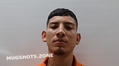 ESTRELLA MIGUEL ANGEL 03/19/2025 - Cameron County Mugshots Zone