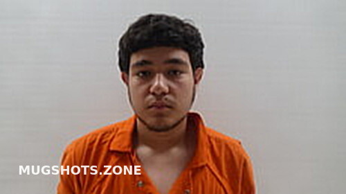 RAMIREZ DANIEL 03/25/2025 - Cameron County Mugshots Zone