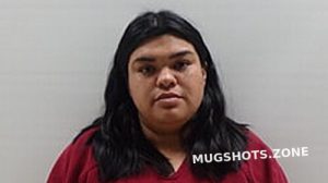 CASTILLO GISELA KRYSTAL 03/27/2025 - Cameron County Mugshots Zone